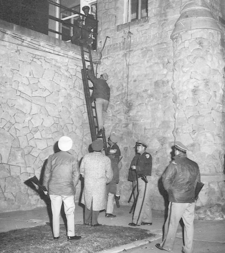 Mystery of the Purple Roses | Kevin S. Giles